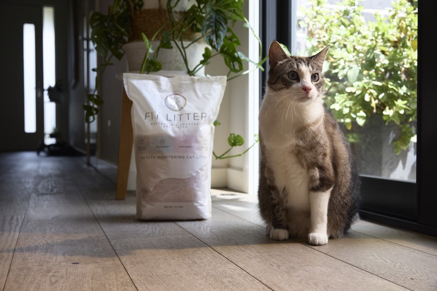 Frequently Asked Questions – Fit Litter